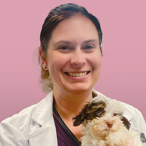 Veterinarian In Bedford, TX 76021 | Bedford Oaks Family Vet